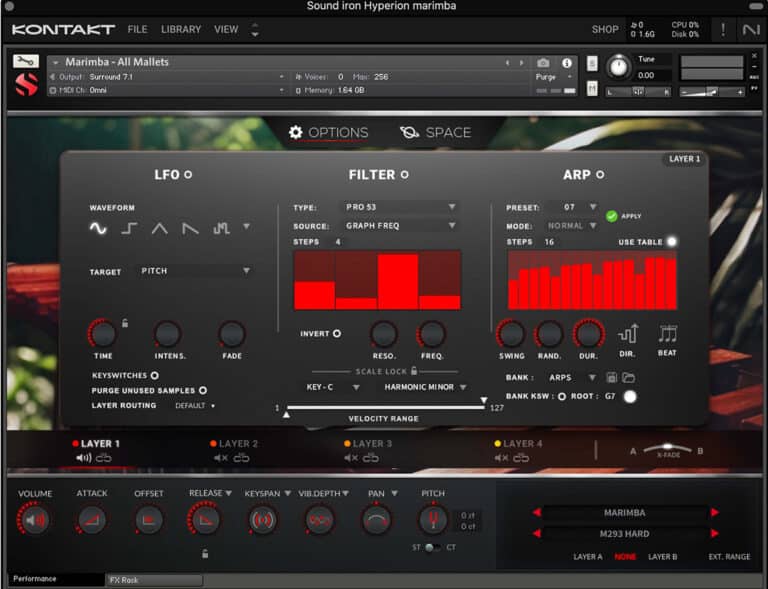 Mallet Percussion: 6 Superb Instruments (+ examples) - WaveInformer